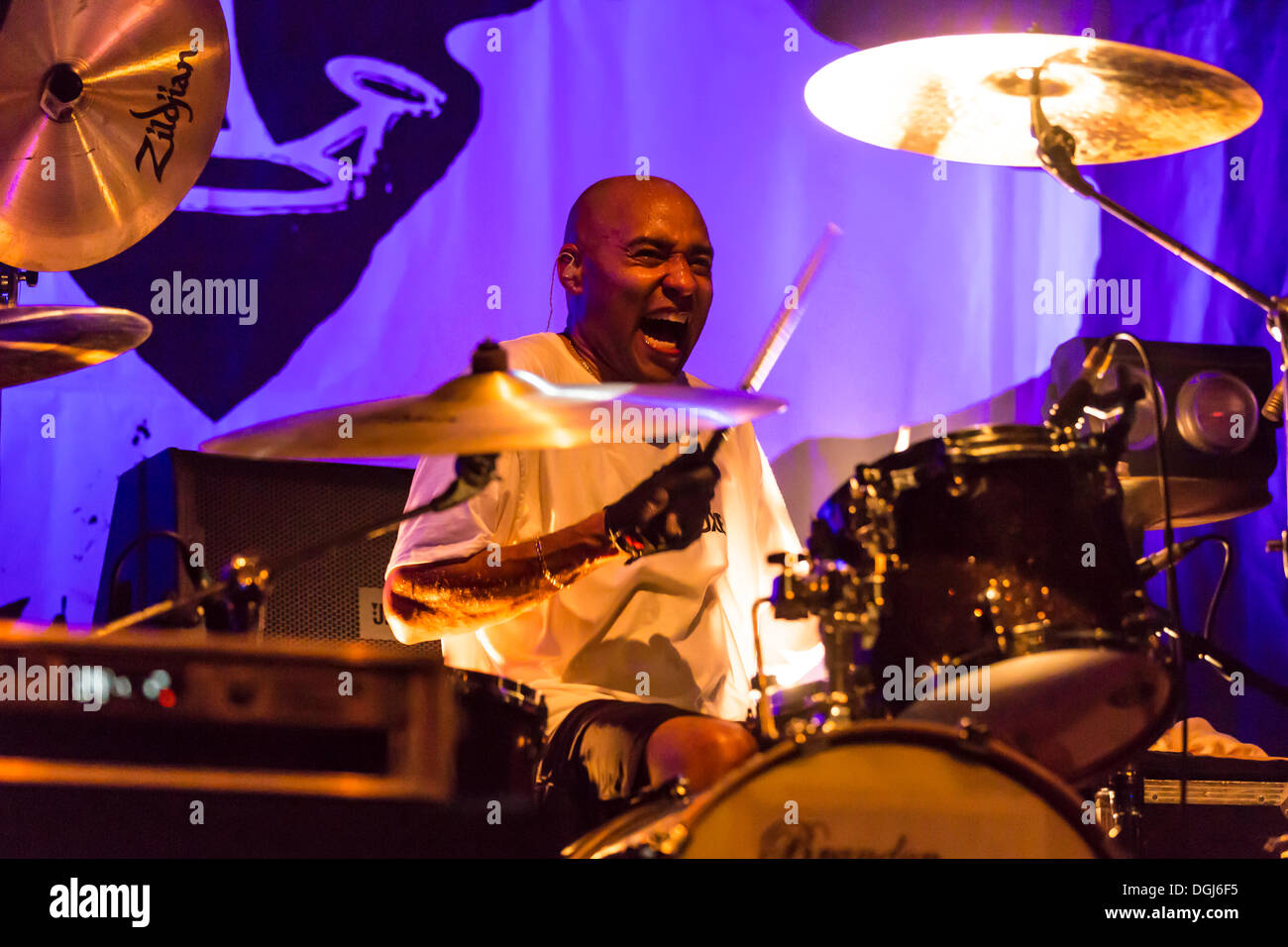 Finley dog hi-res stock photography and images - Alamy