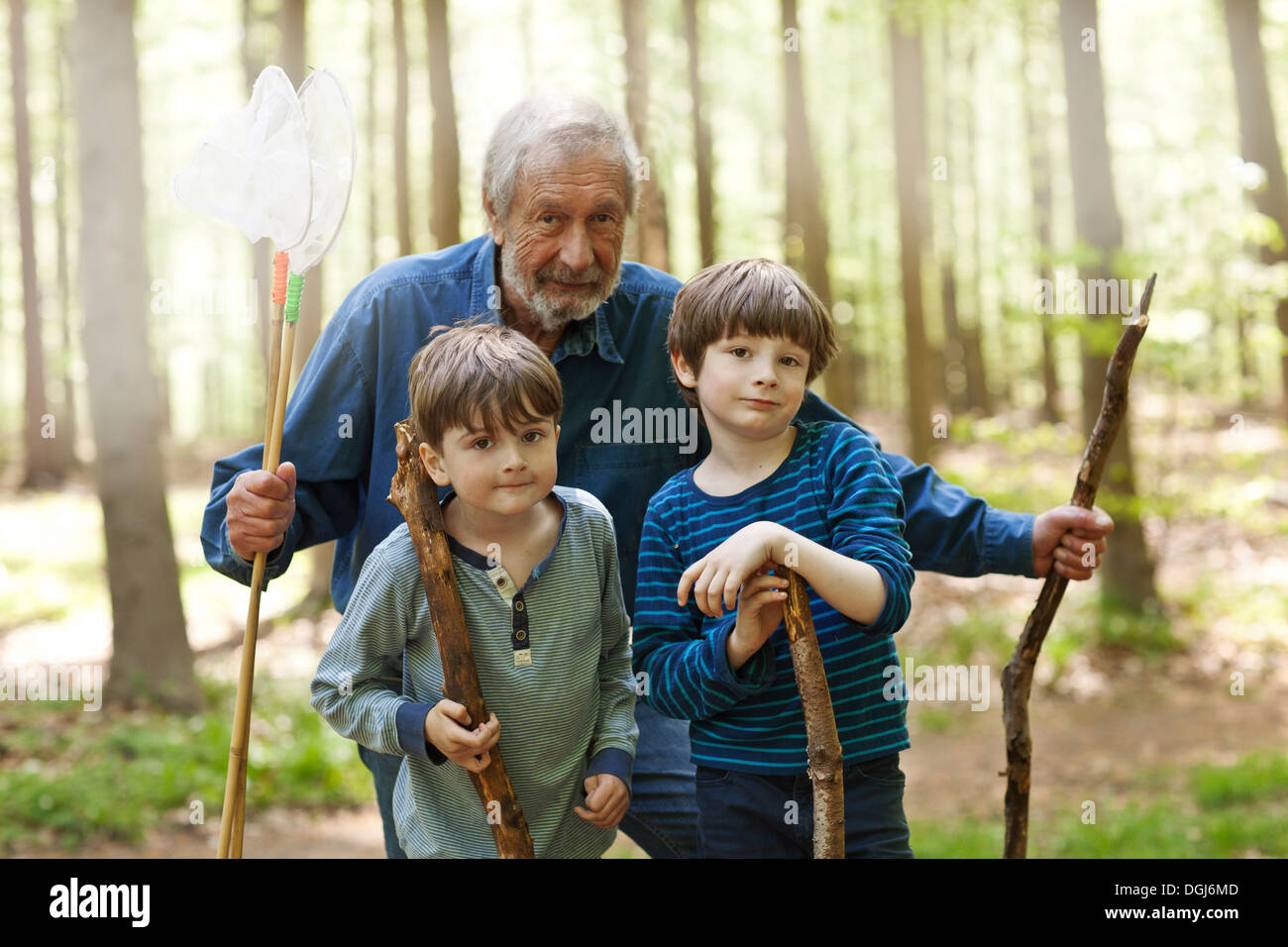 Grandfather grandsons sticks forest hi-res stock photography and images ...