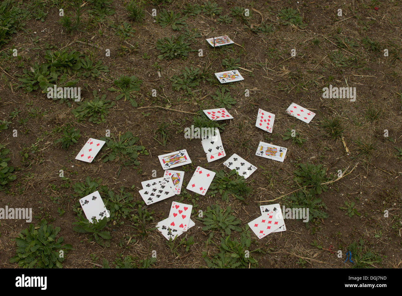 playing cards on the lawn Stock Photo - Alamy