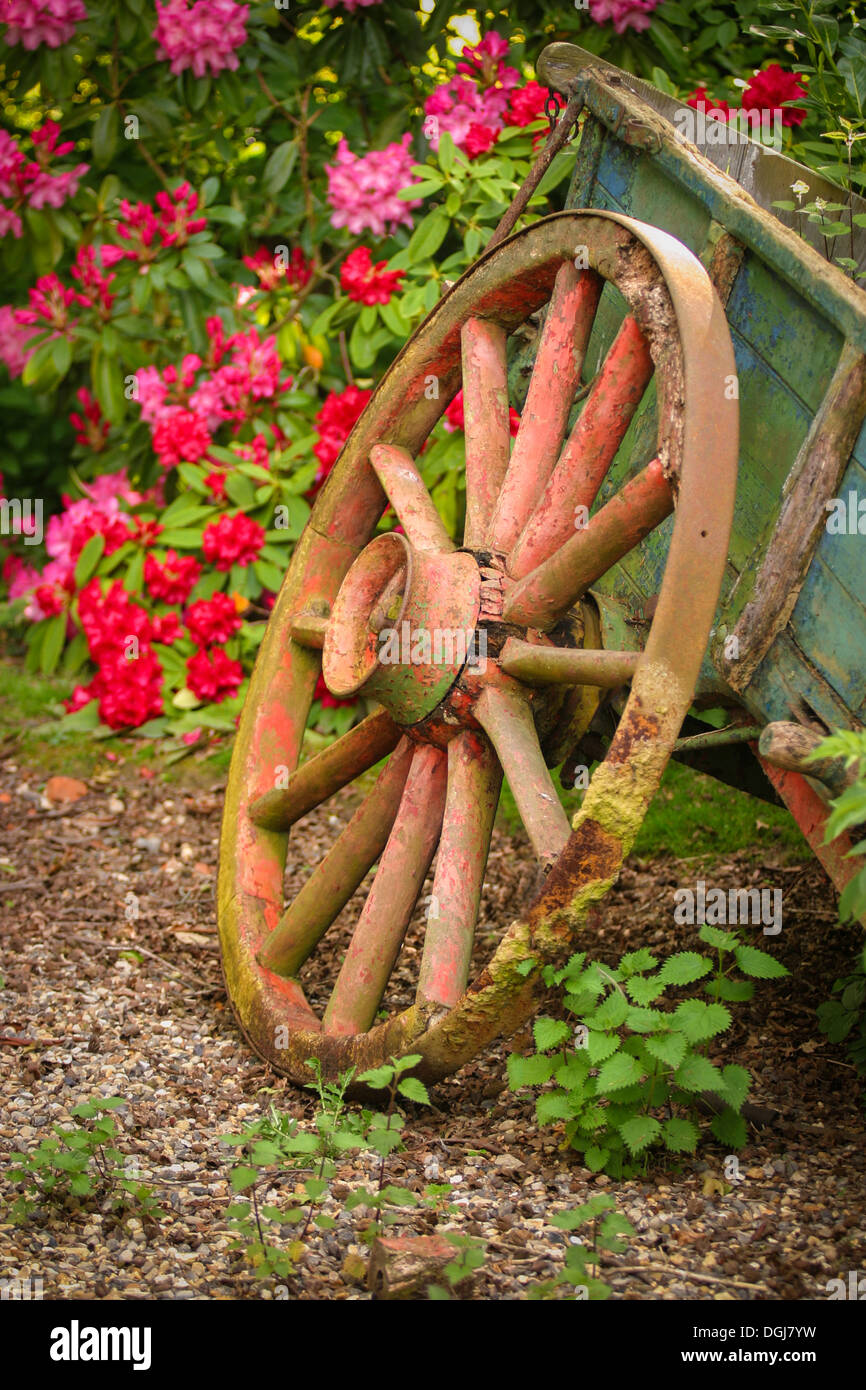 Derelict old colourful broken cart in a garden surrounded by red and ...