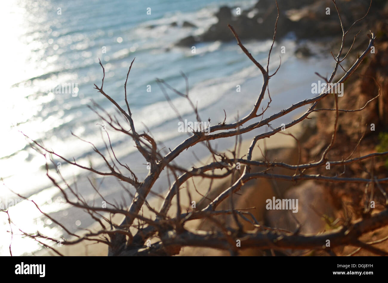 Calas de roche cadiz hi-res stock photography and images - Alamy