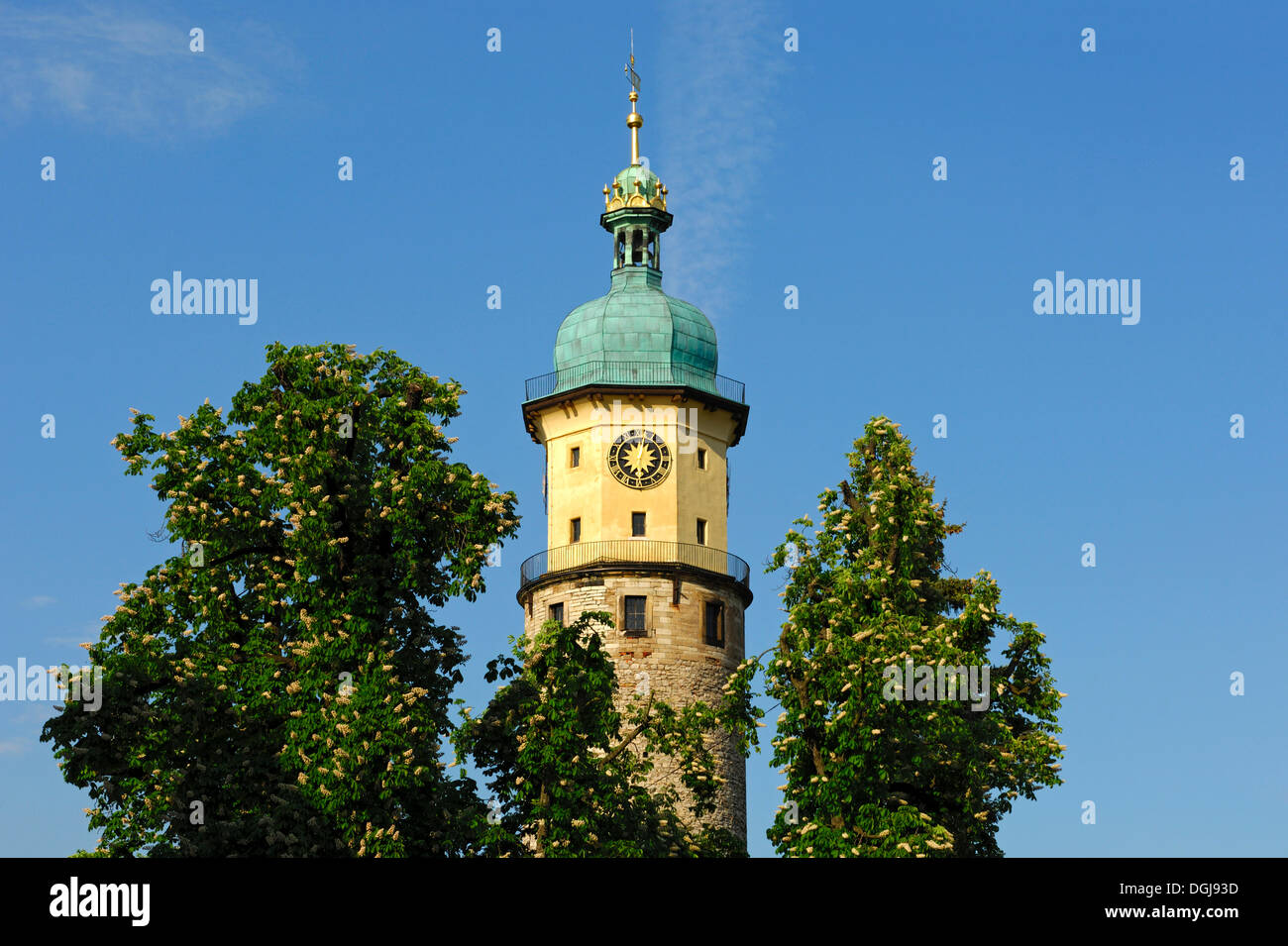 Castle tower or Hausmannsturm tower, ruin of Schloss Neideck castle ...