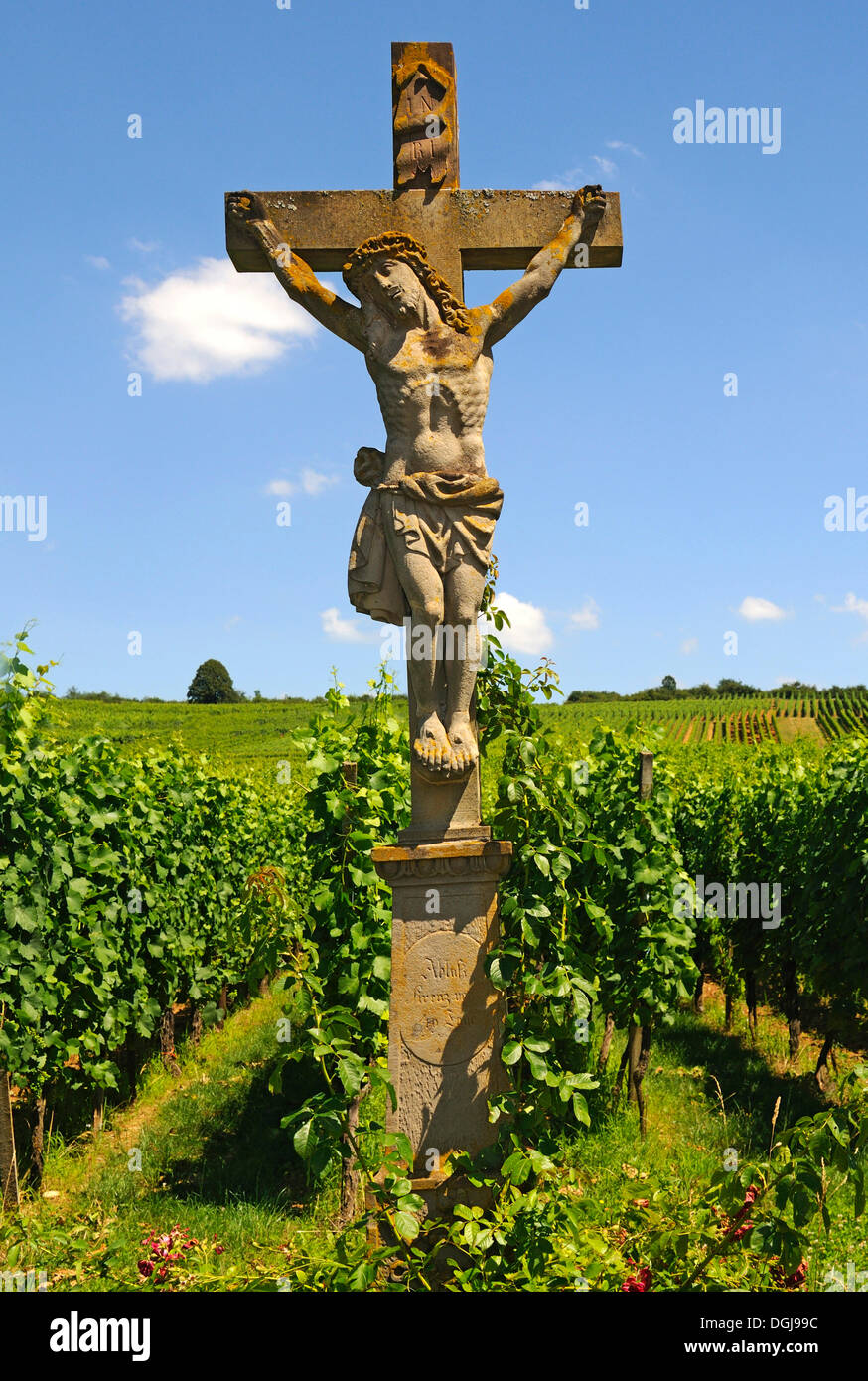 Stone crucifix in the vineyards of Orschwihr, Alsace, France, Europe ...