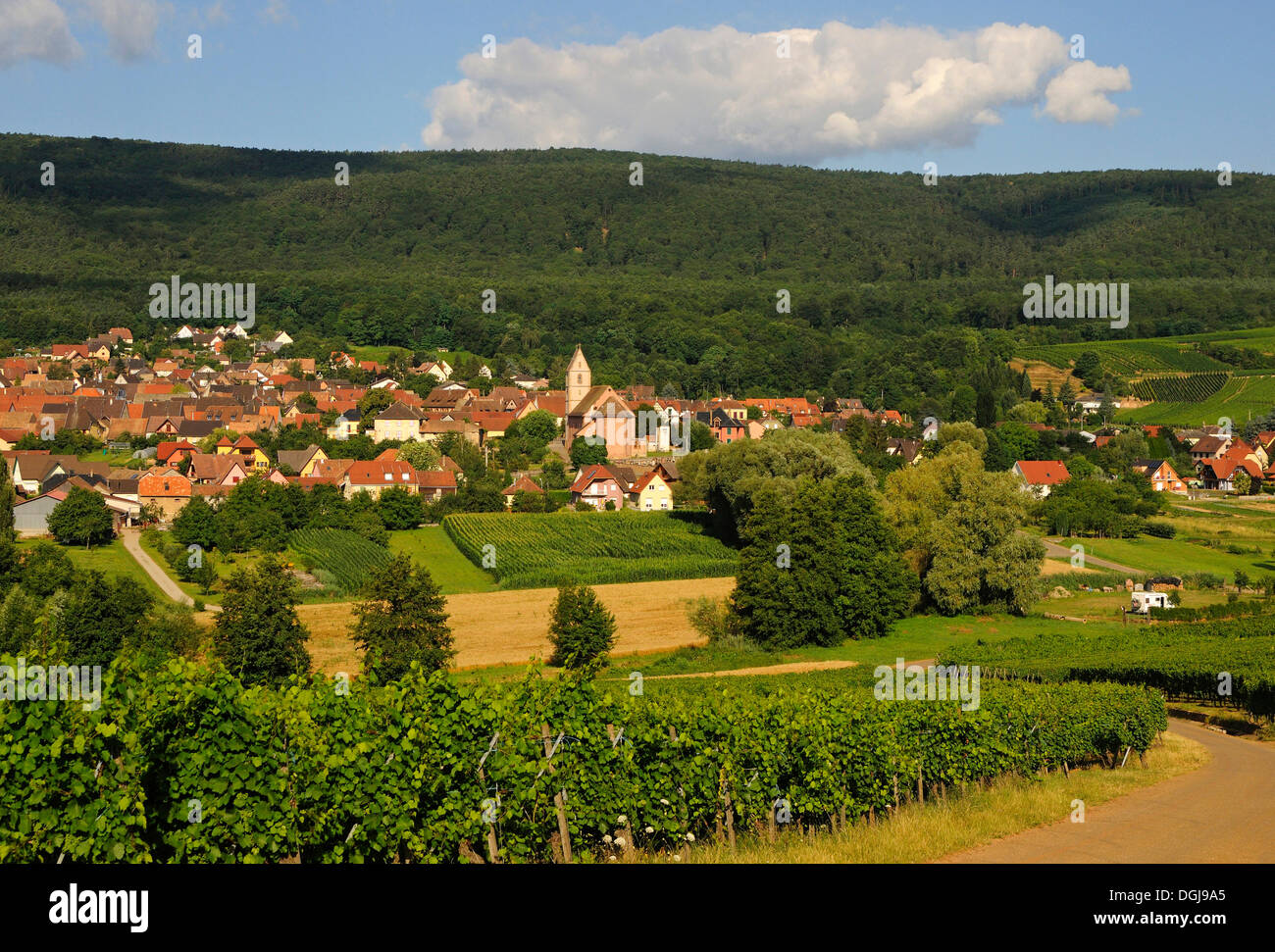 Wine village of Orschwihr along the Alsace Wine Road and Route des Vins ...