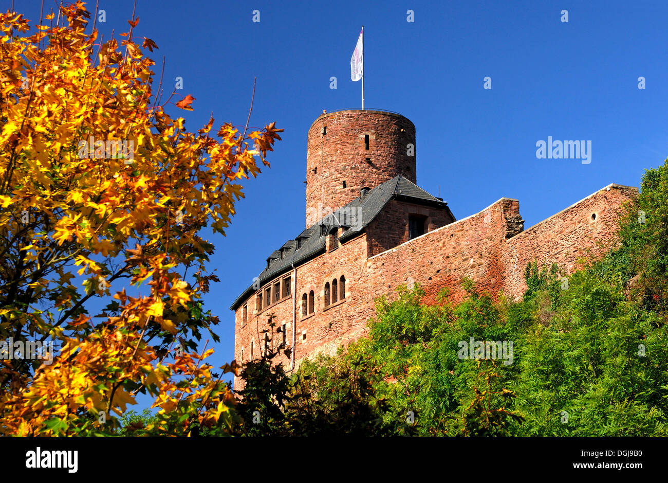 Burg Hengebach castle in Heimbach, Eifel, North Rhine-Westphalia Stock ...