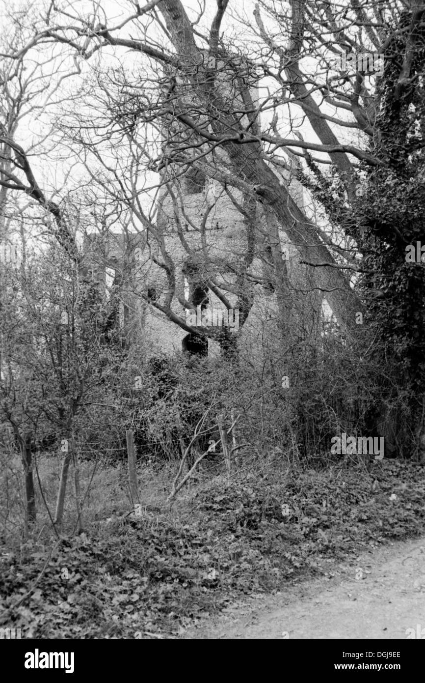 Racton folly ruins hi-res stock photography and images - Alamy