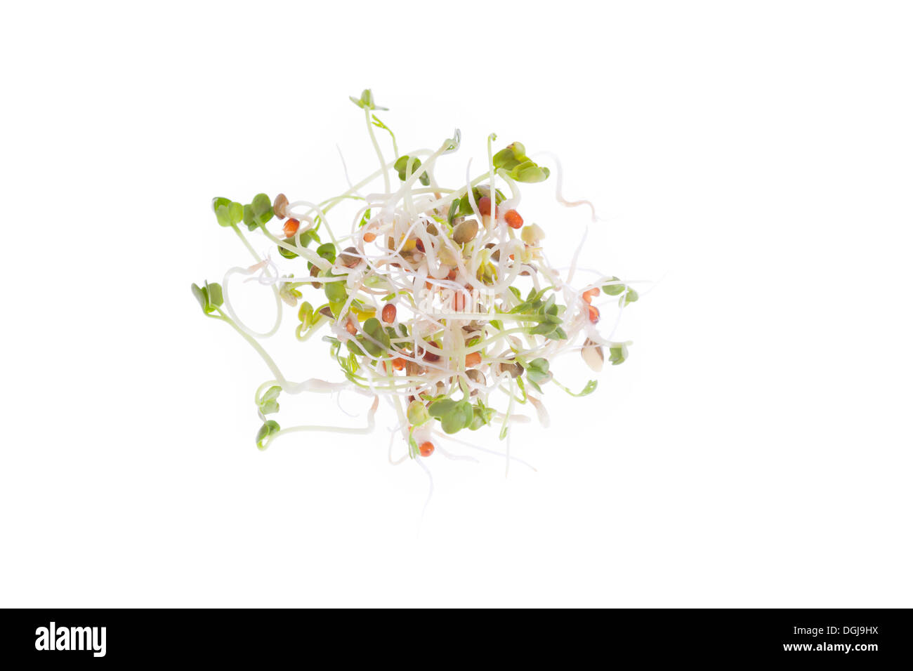 Close up organic micro Cut Out Stock Images & Pictures - Alamy