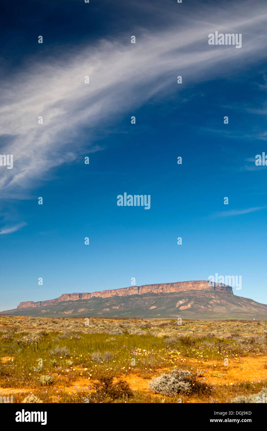 The Gifberg, Poison Mountain, in the vast Nama Karoo near Vanrhynsdorp ...