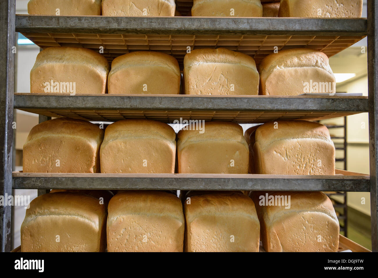 In row hi-res stock photography and images - Alamy