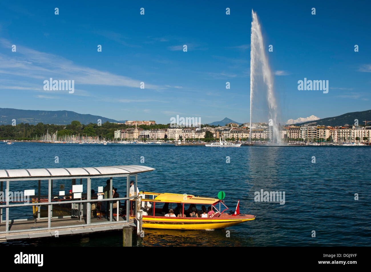 Mouettes genevoises hi-res stock photography and images - Alamy