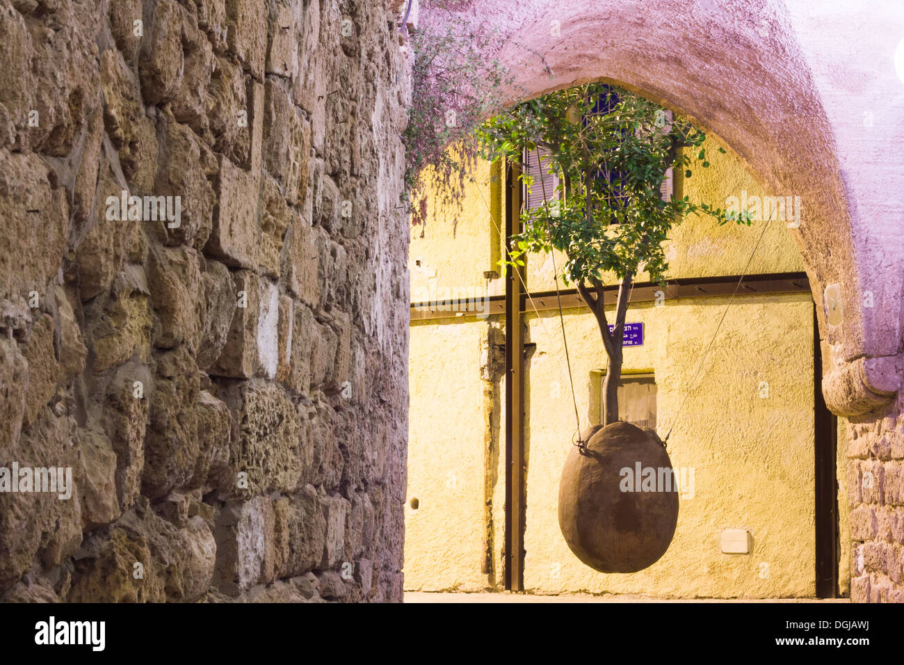 Old Jaffa the hanging tree Stock Photo - Alamy