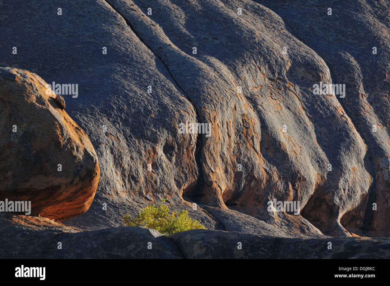 Early morning at Ameib ranch, Namibia Stock Photo - Alamy