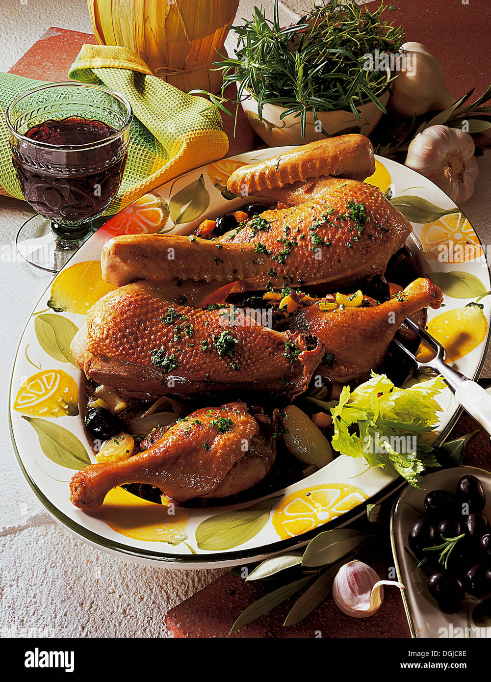 Tuscan muscovy duck, Italy Stock Photo - Alamy