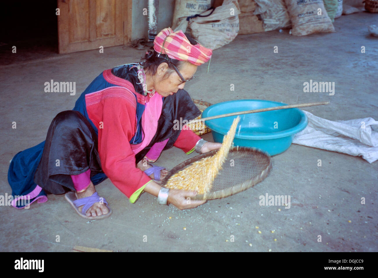 elderly local woman wearing traditional minority clothing sieves corn ...