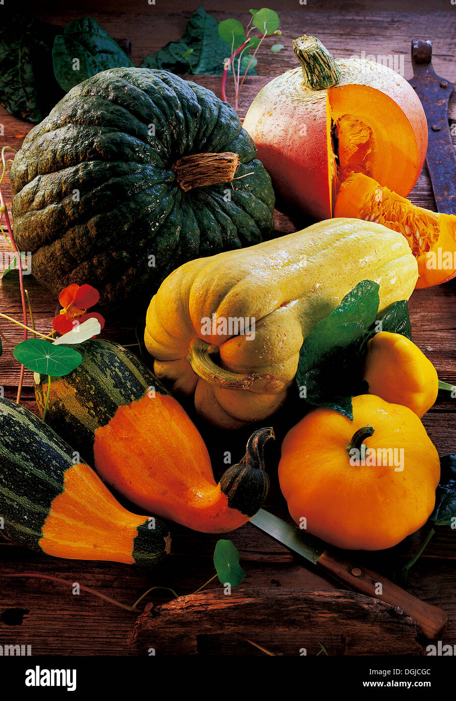 Colourful pumpkins, uncooked Stock Photo - Alamy