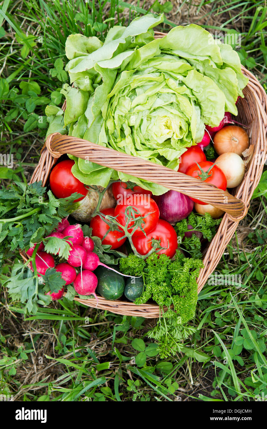 Vegetable basket hi-res stock photography and images - Alamy