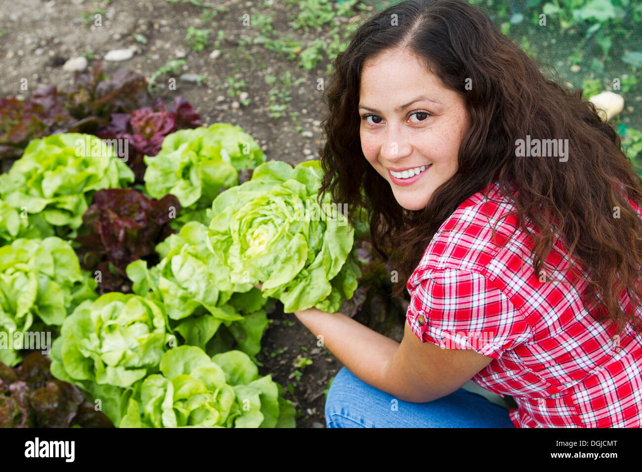 Checker ab hi-res stock photography and images - Alamy
