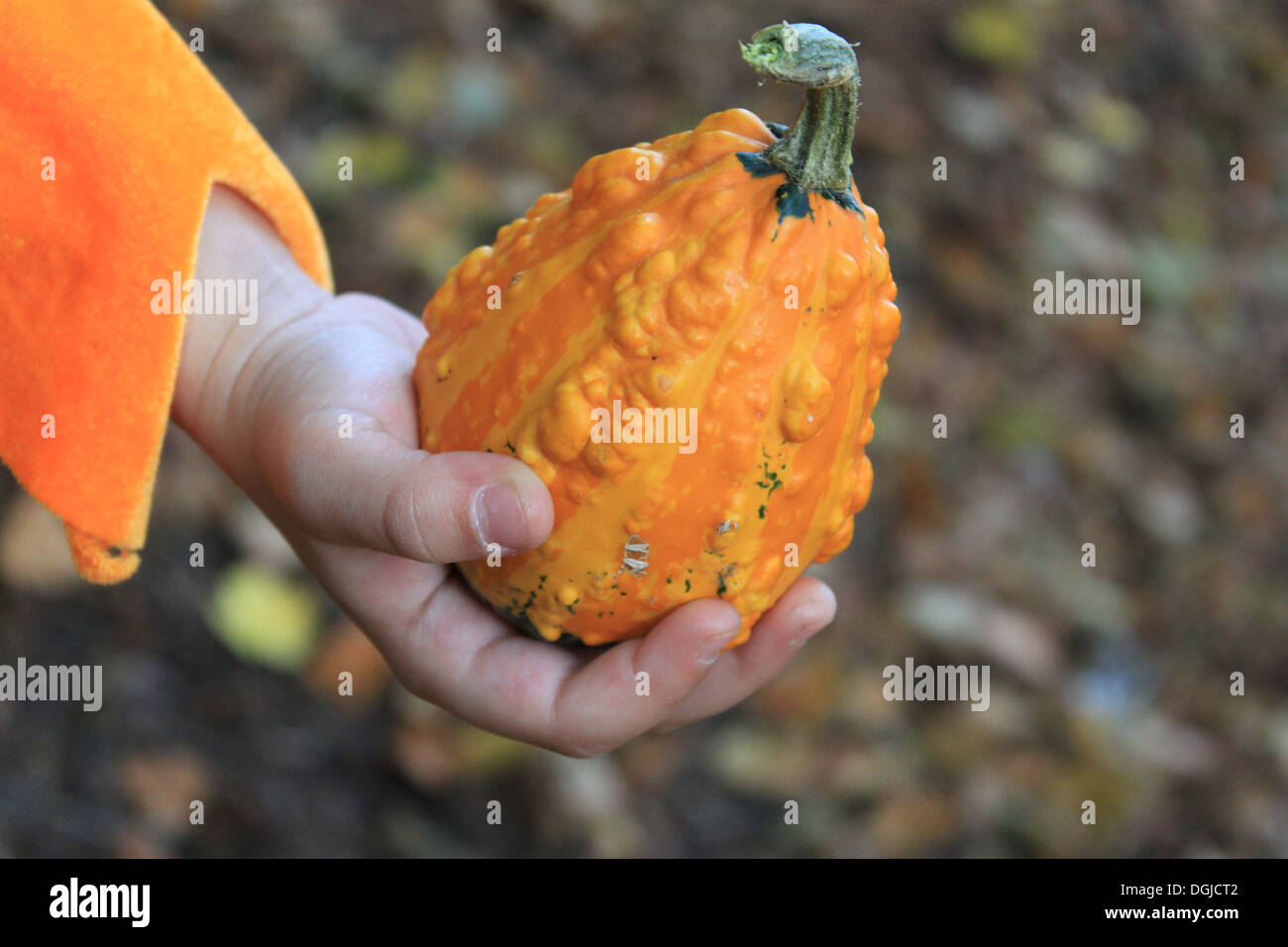 Hand symbol for small hi-res stock photography and images - Alamy