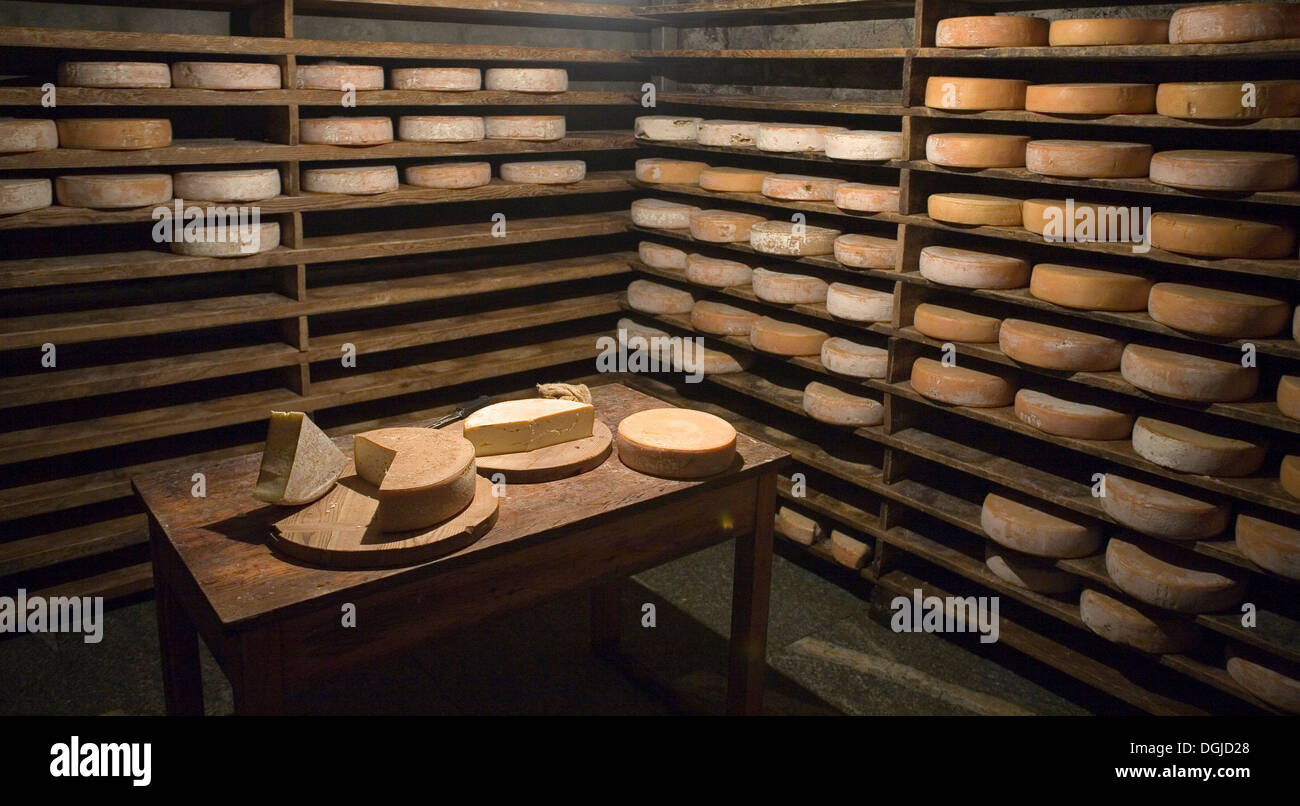 Fresh cheese wheels on table in cabin Stock Photo - Alamy