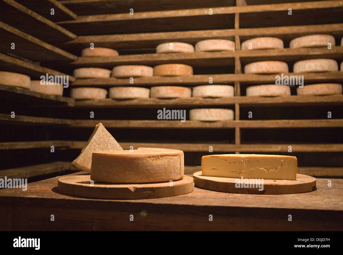 Fresh cheese wheels on table in cabin Stock Photo - Alamy