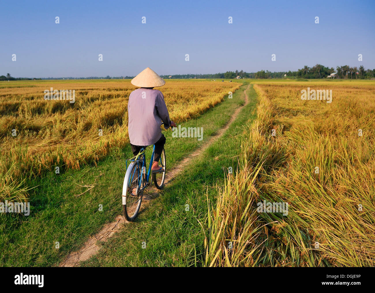 Agricultural worker riding bicycle hi-res stock photography and images ...