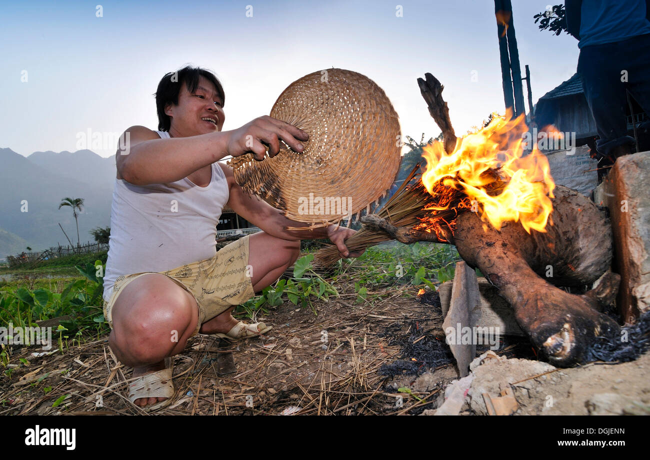 Vietnamese man preparing a goat for a feast, coat being removed, Mai ...