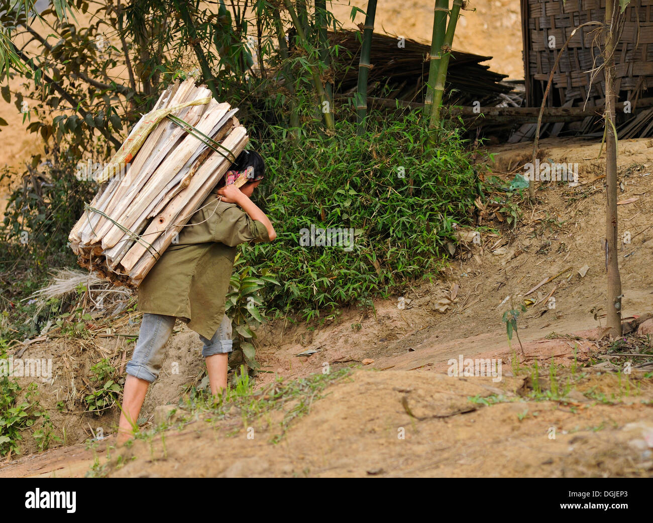 Woman carrying firewood hi-res stock photography and images - Alamy