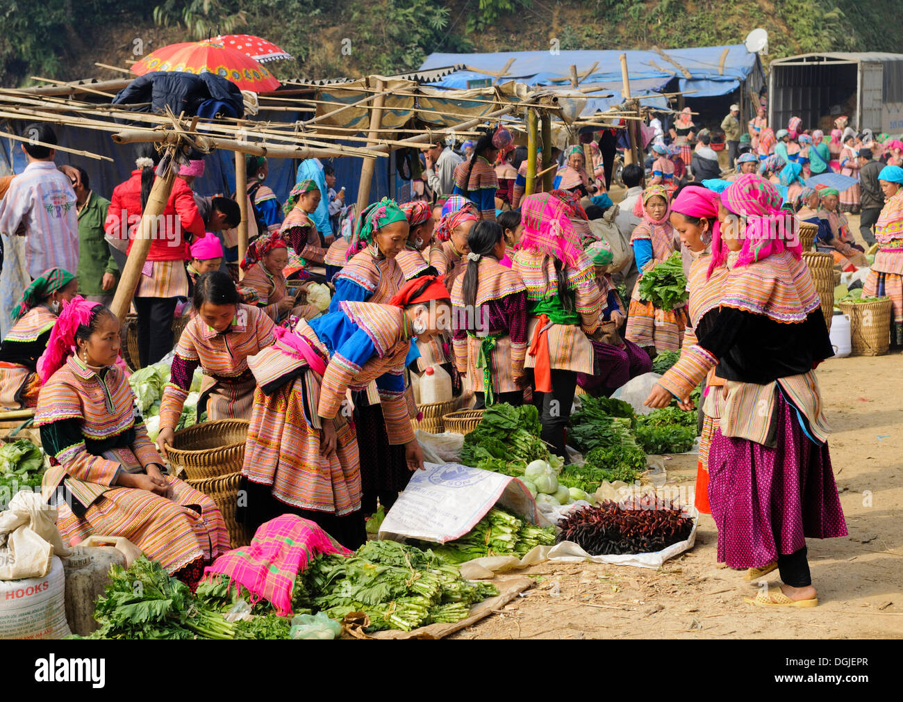 People's market, women in the costumes of the Hmong ethnic minority ...