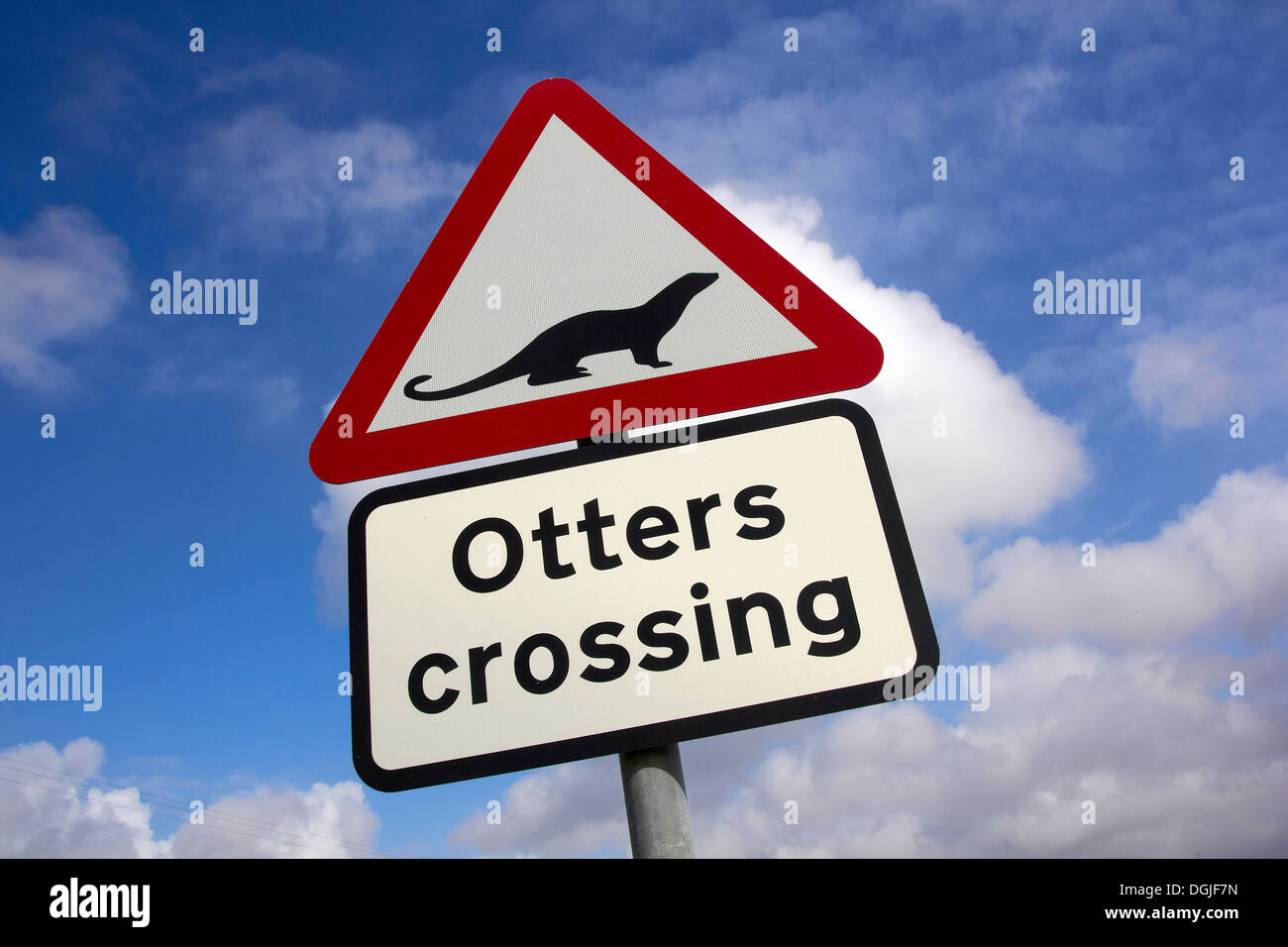 Otter sign hi-res stock photography and images - Alamy