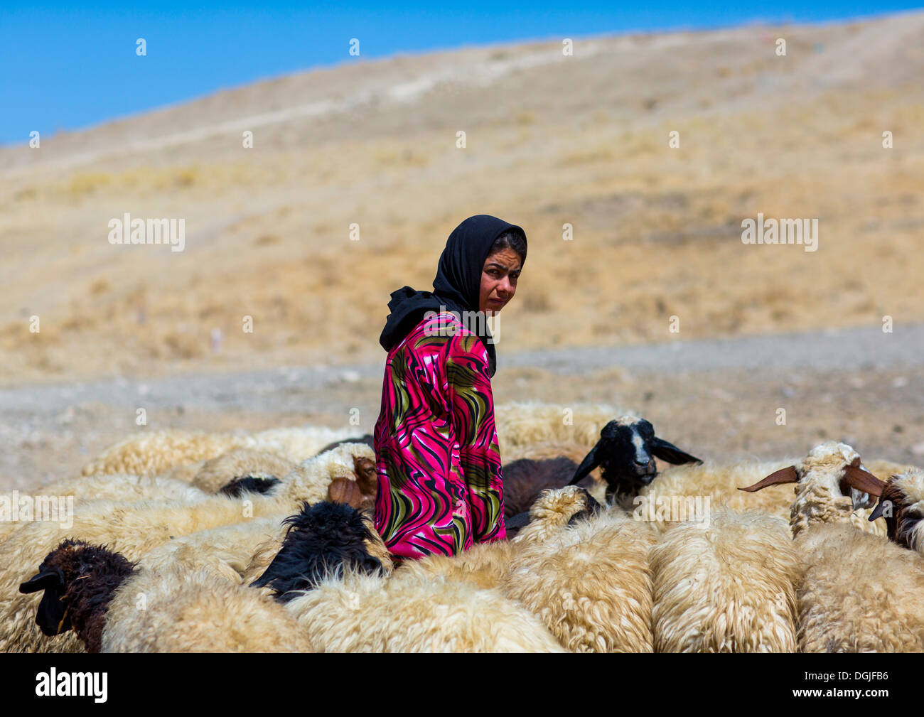 Kurdish Sheperd, Azaban, Kurdistan, Iraq Stock Photo - Alamy