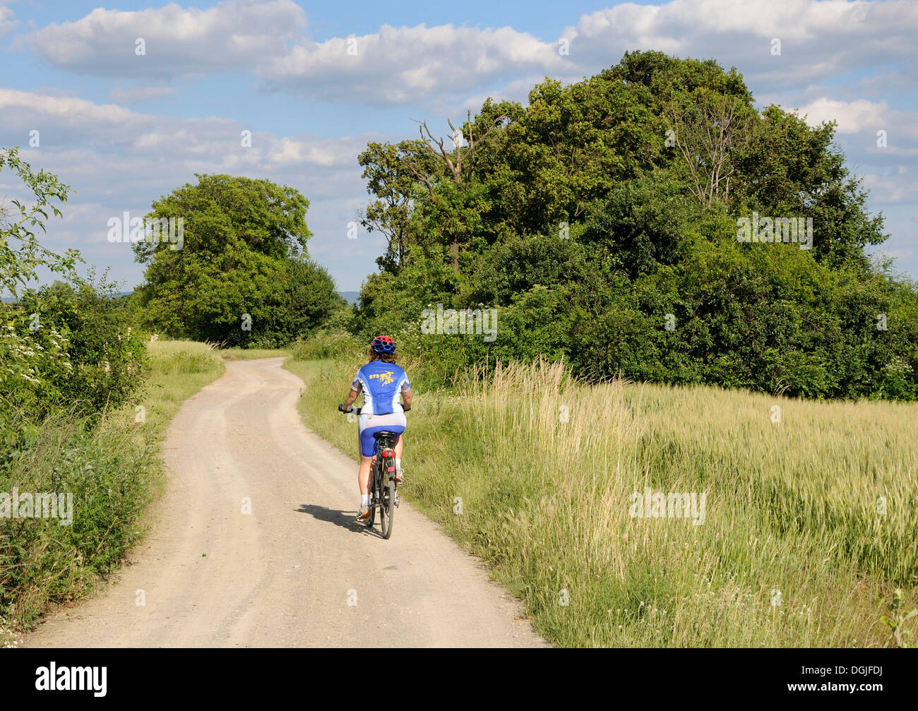 Cyclist rides on bike woman hi-res stock photography and images - Alamy