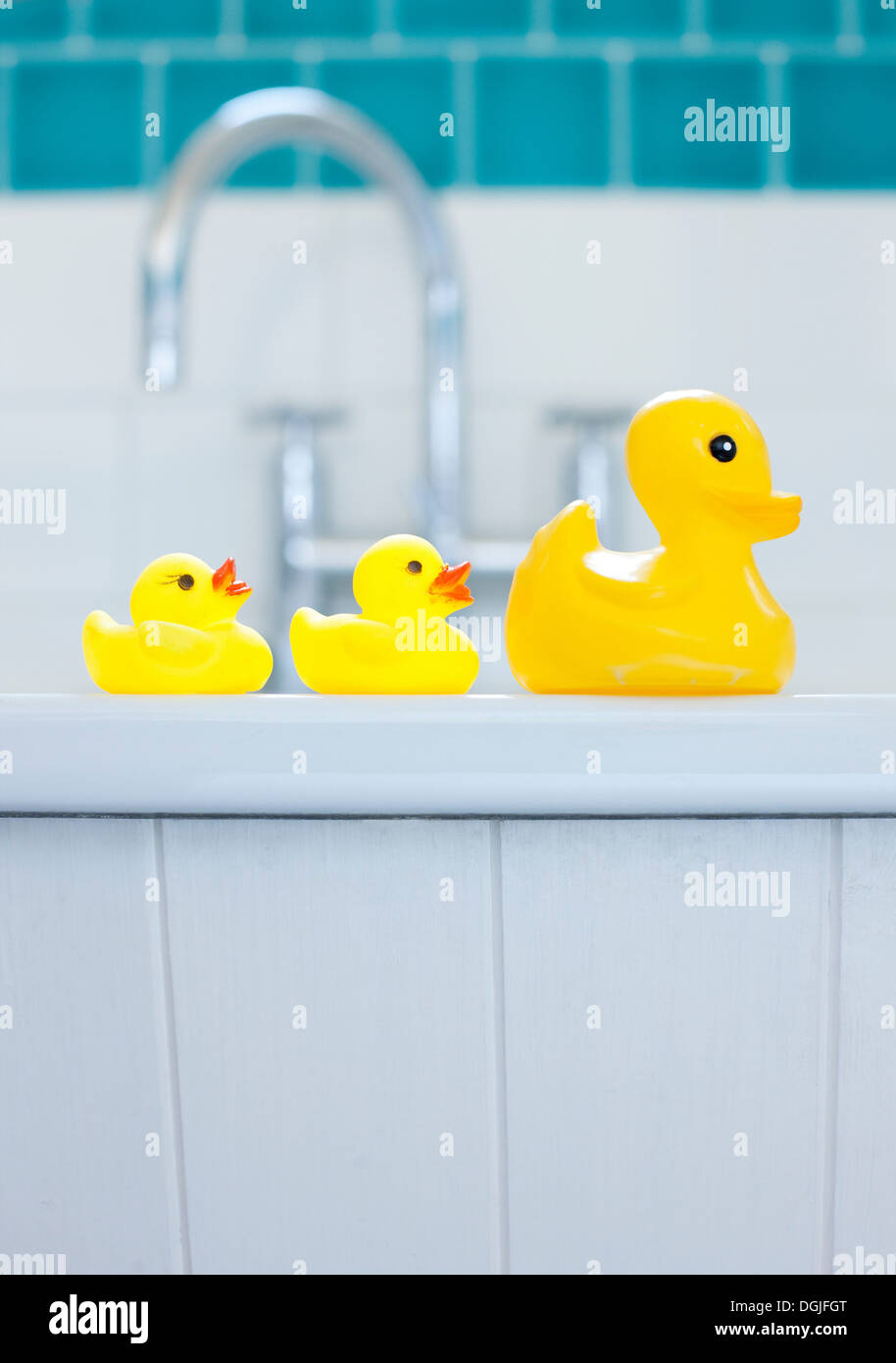 Three yellow ducks hi-res stock photography and images - Alamy