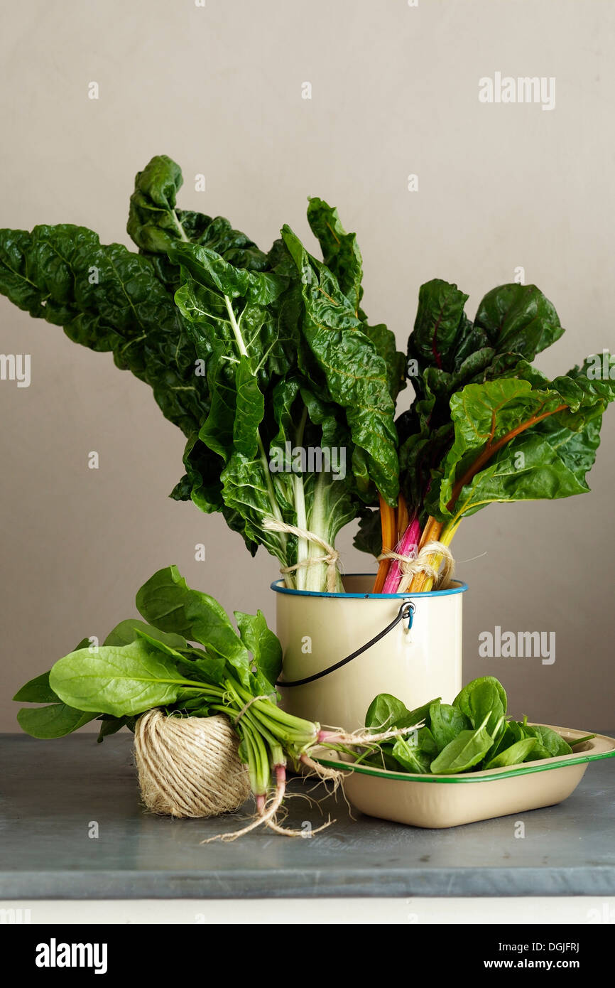 Variety of spinach Stock Photo - Alamy