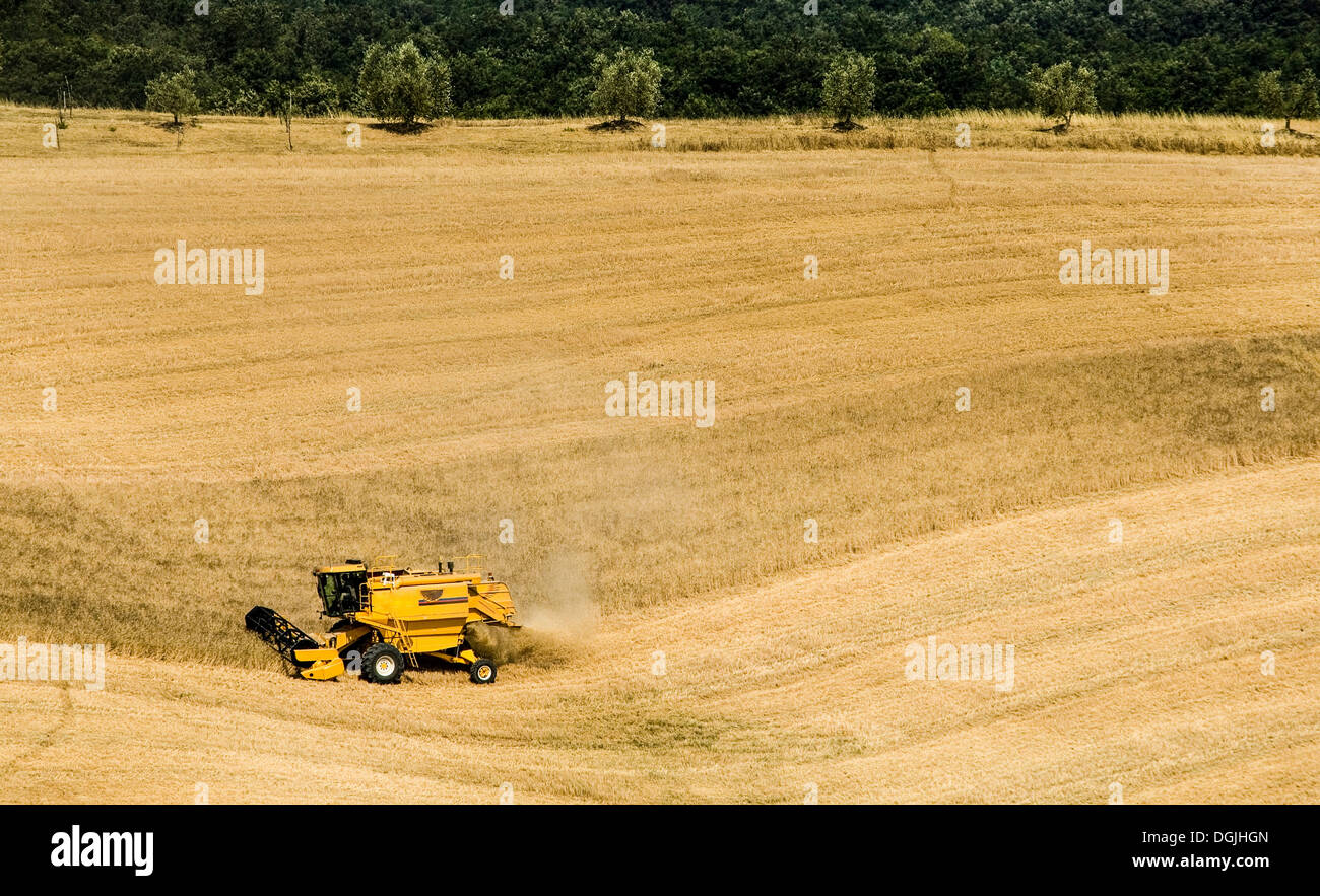 Combine harvester at work, Tuscany, Italy Stock Photo - Alamy