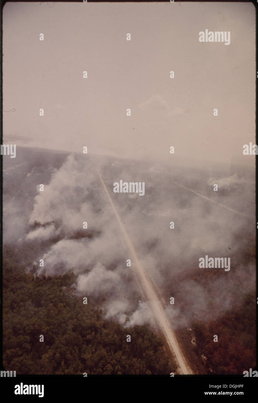 Forest fires in the everglades hi-res stock photography and images - Alamy