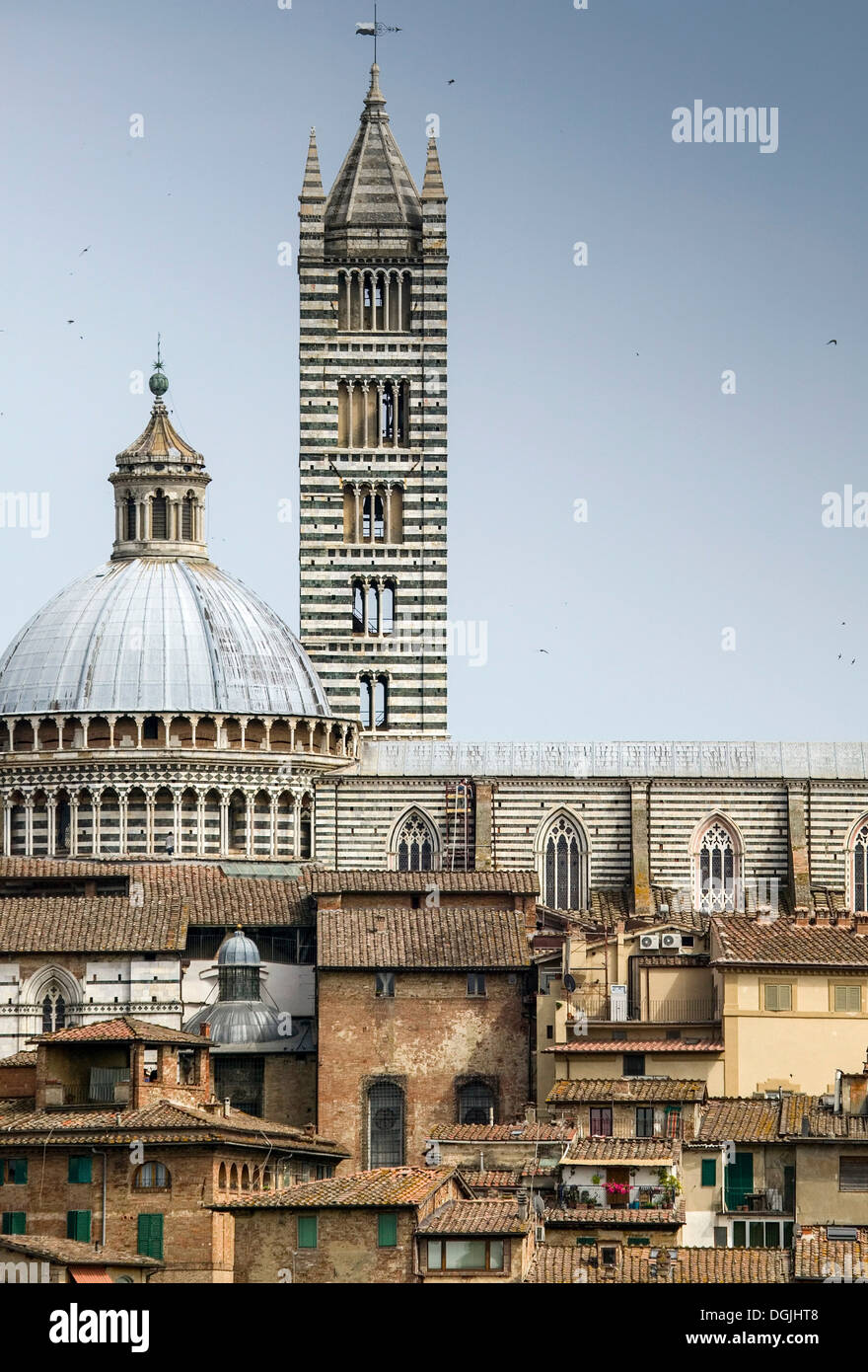 Tower and dome of Santa Maria Assunta, Siena, Italy Stock Photo - Alamy