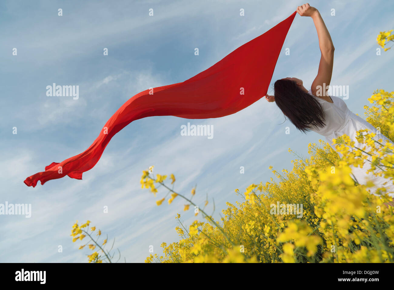 Oblique rear view of a young woman in a blooming canola field, while ...