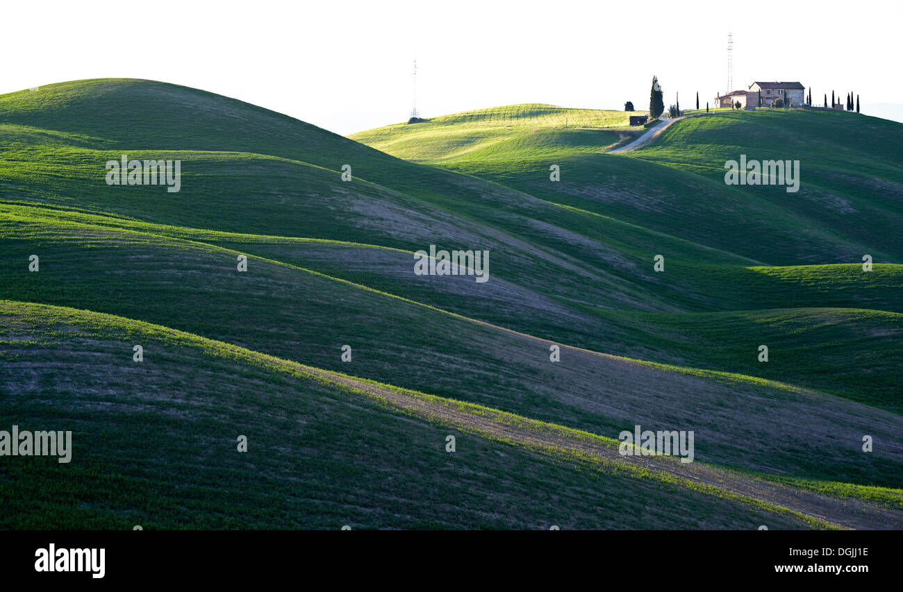Tuscan country house in a hilly landscape, Crete Senesi, Siena, Tuscany ...