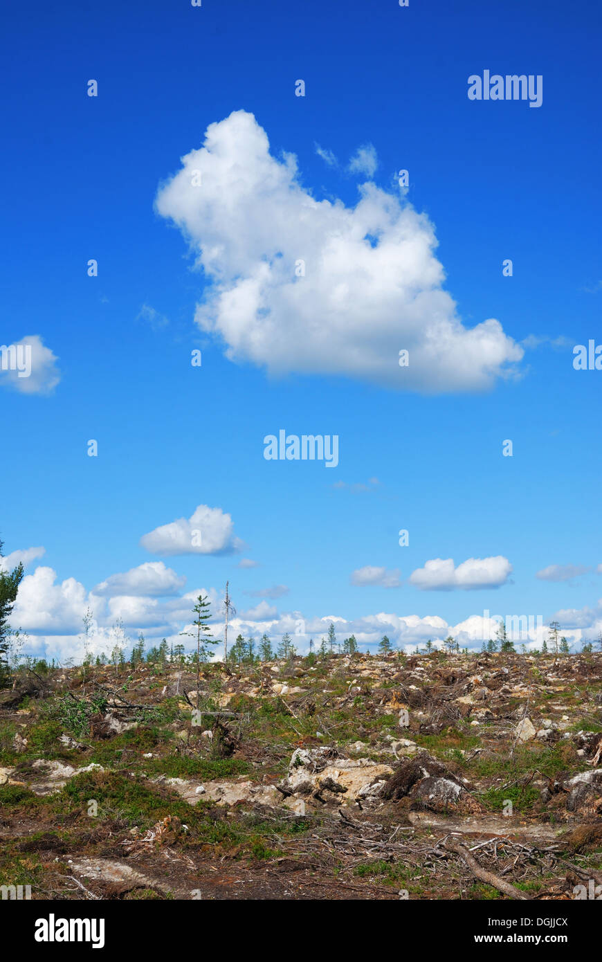 Deforestation finland hi-res stock photography and images - Alamy