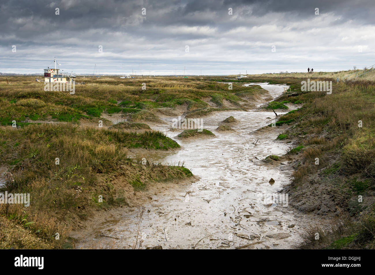 A view across Tollesbury Saltings Stock Photo - Alamy