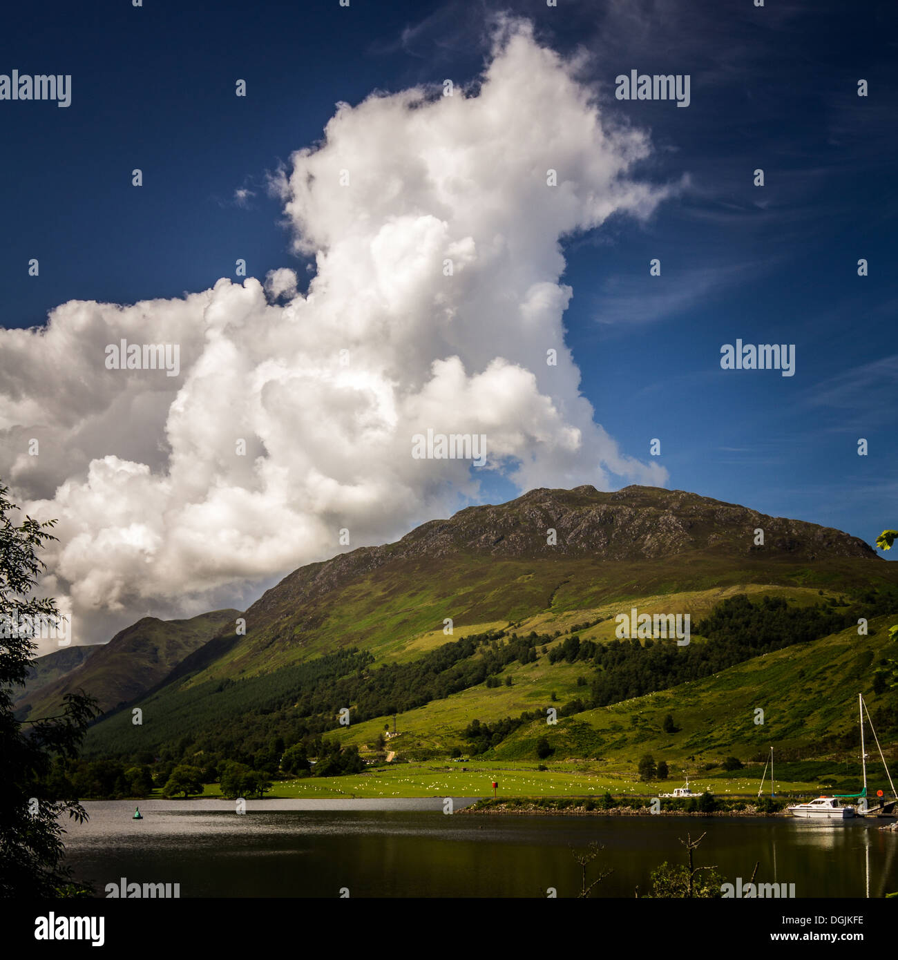 view of the scottish highlands Stock Photo - Alamy