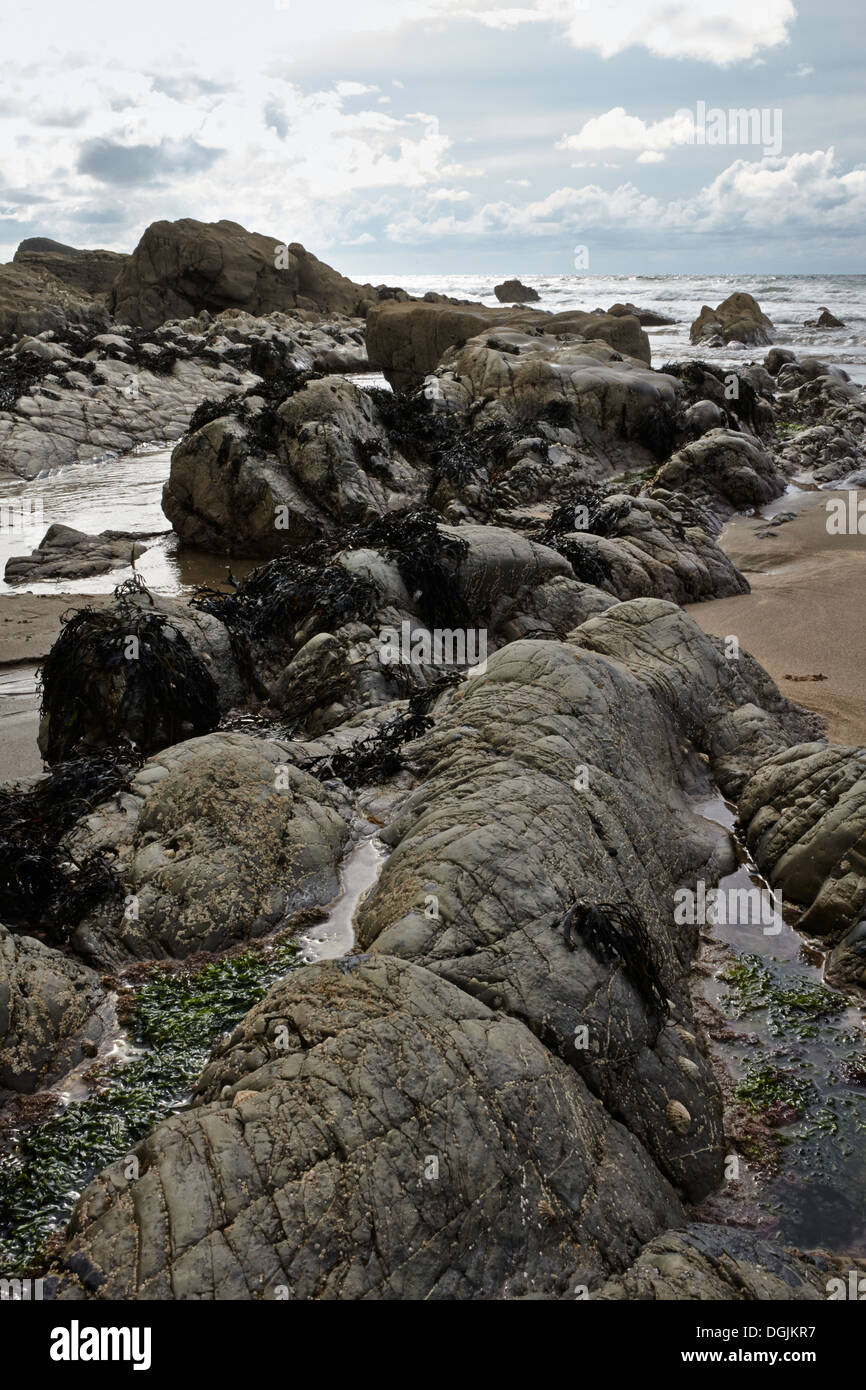 Boulders on beach at Welcombe Mouth. North Cornwall Stock Photo - Alamy