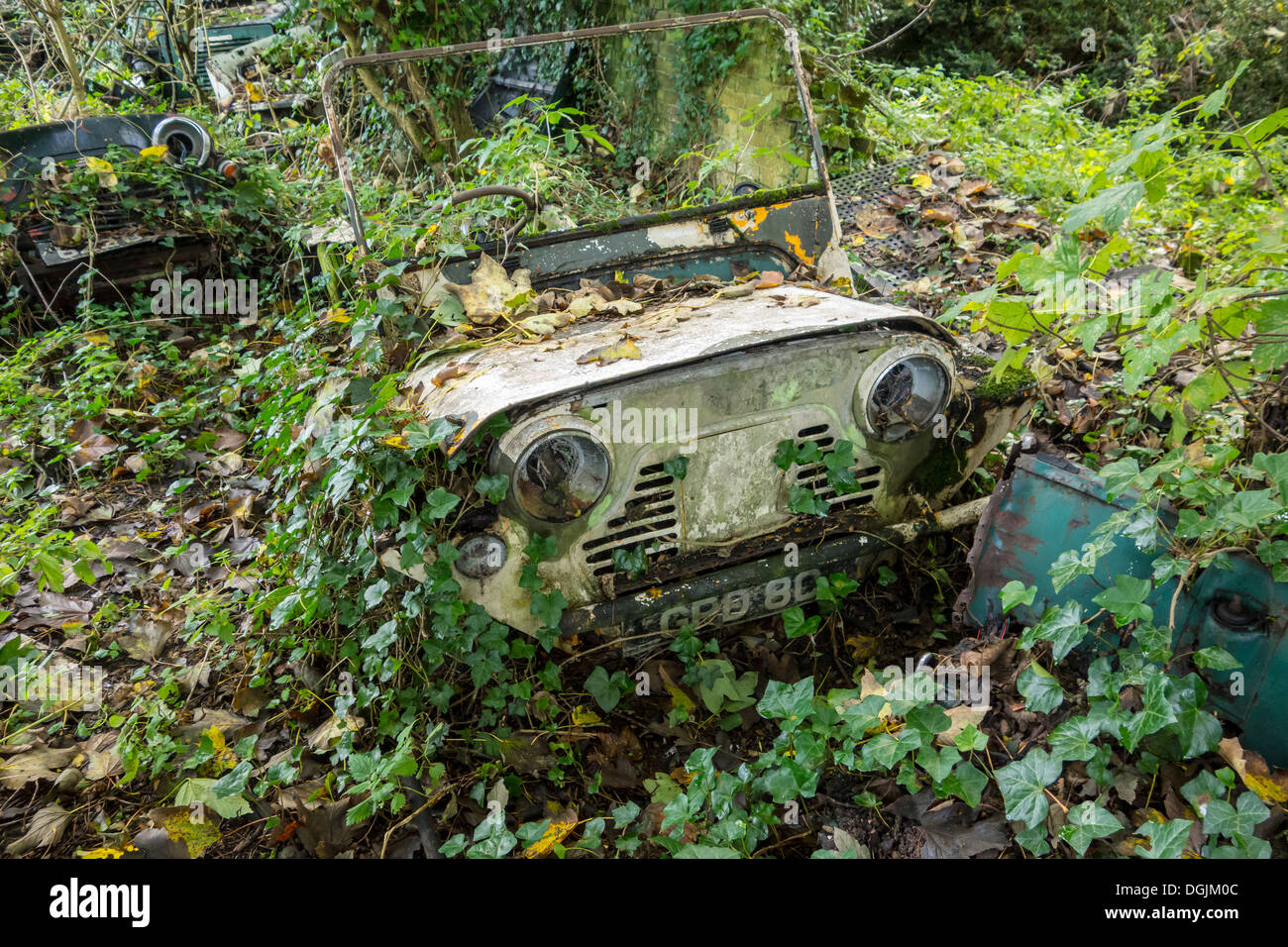 Old mini moke abandoned overgrown hi-res stock photography and images ...