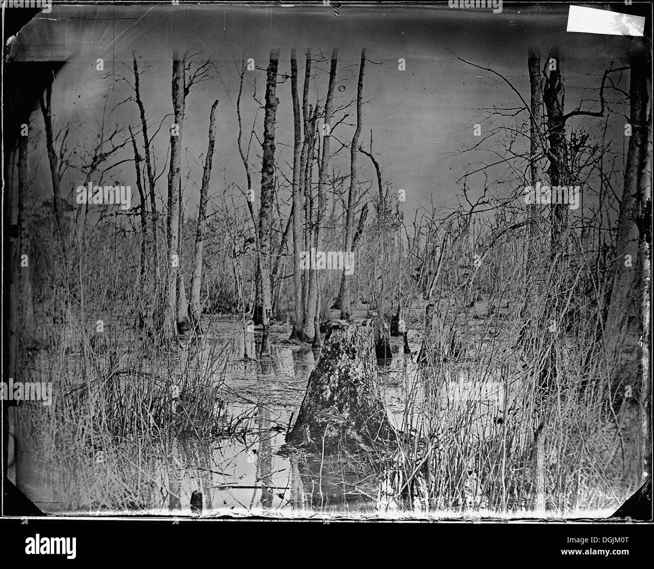 This image depicts a swamp where Confederate forces were driven out by ...