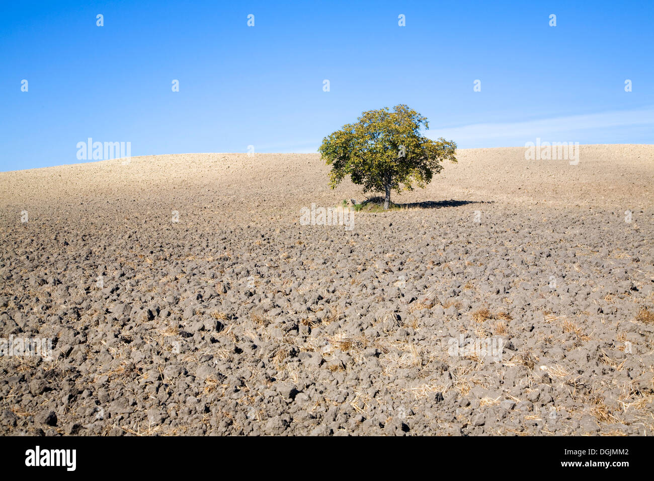 Ploughed spanish field hi-res stock photography and images - Alamy