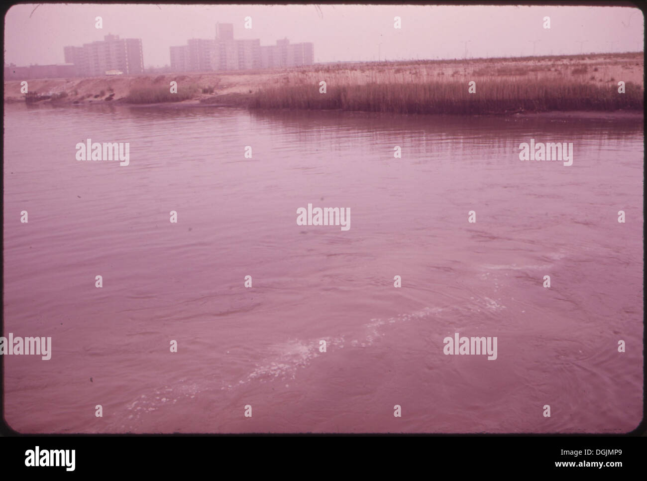 Untreated water overflow from insufficient treatment plants contributes ...