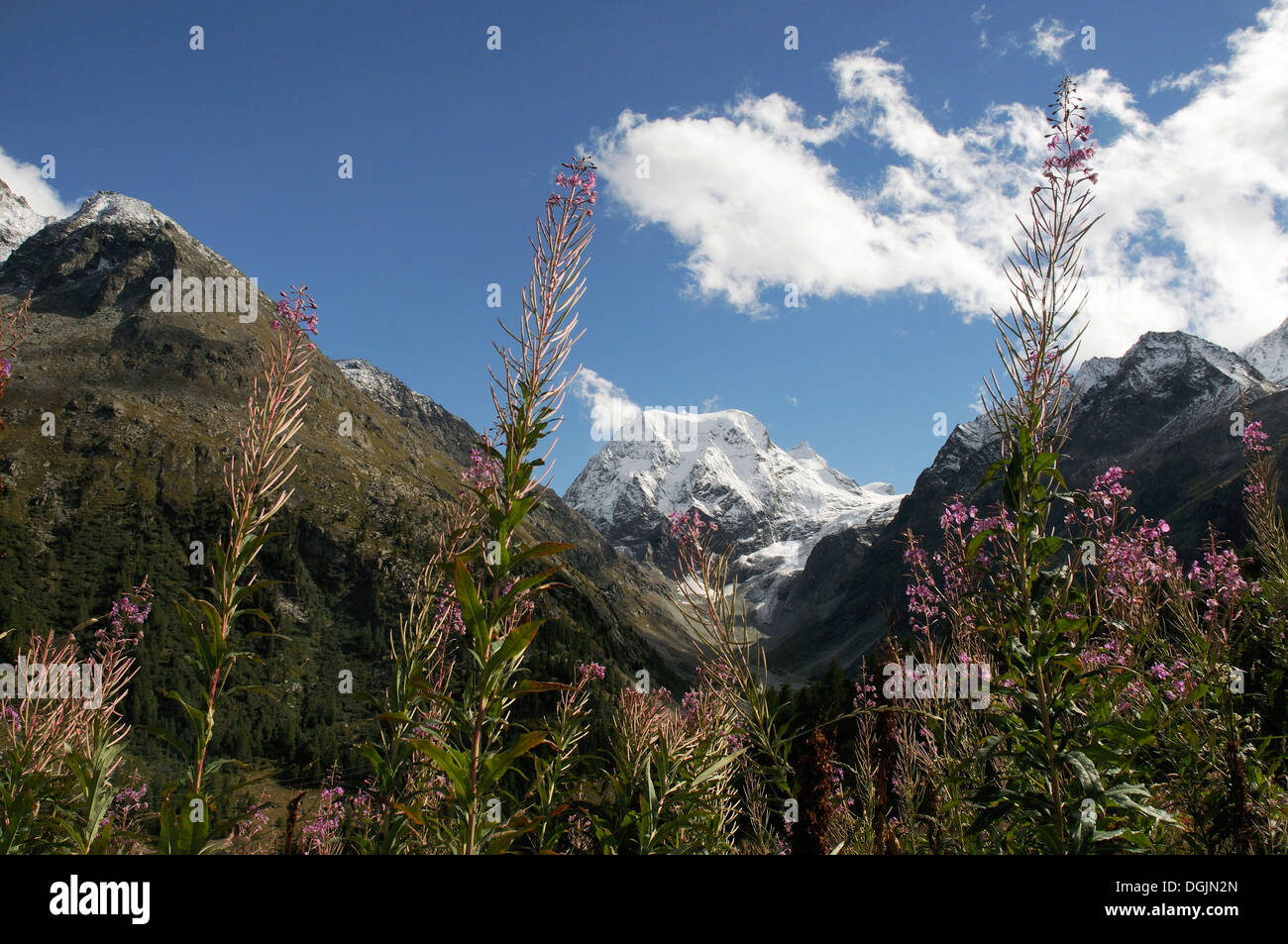 Mont Collon near Arolla in the Swiss Alps Stock Photo - Alamy