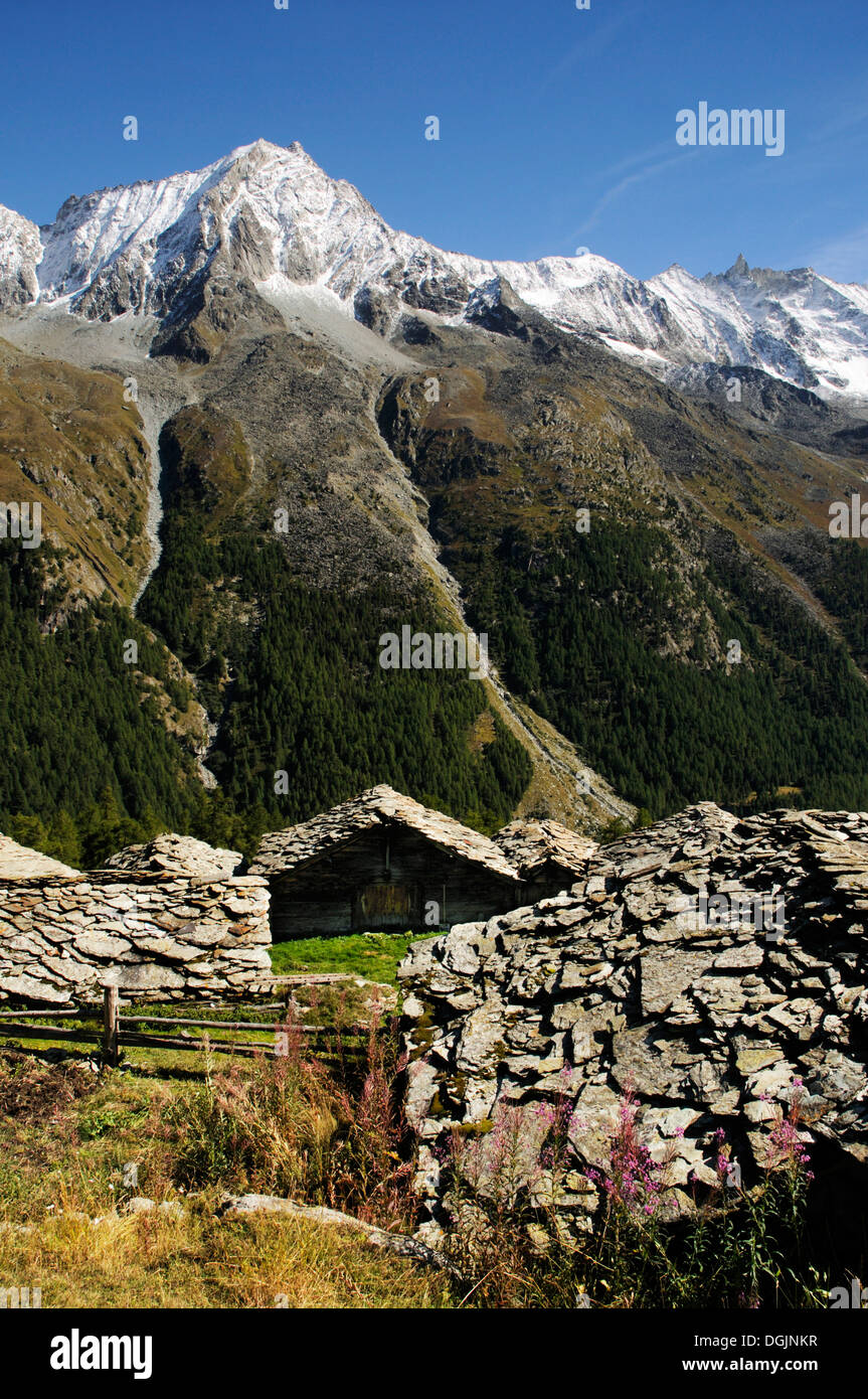 Traditional farming methods hi-res stock photography and images - Alamy
