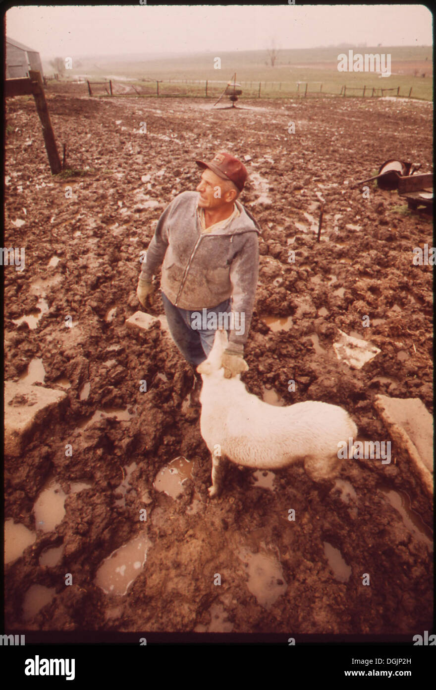 Old sheep pen hi-res stock photography and images - Alamy