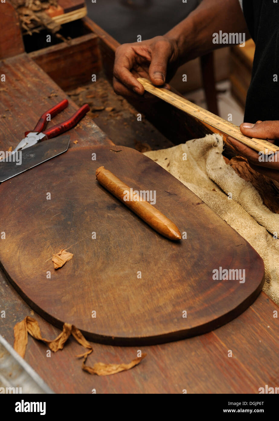 Measuring of a freshly-made cigar, cigar factory in Punta Cana ...